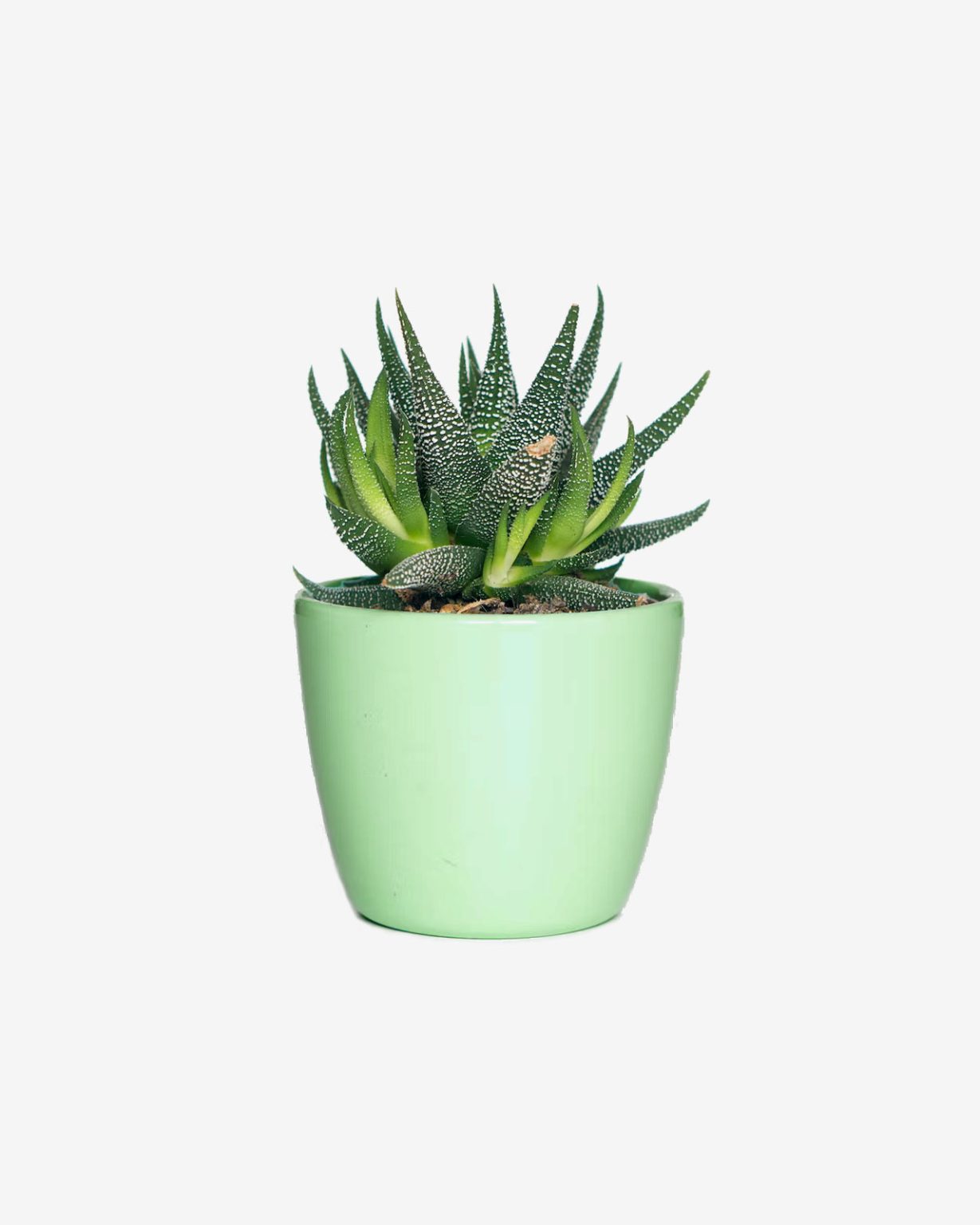 Ceramic Flower Pot – Heim
